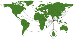 About us | Senok tea